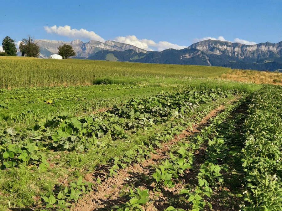 Urig Ruswil – Urig Ruswil